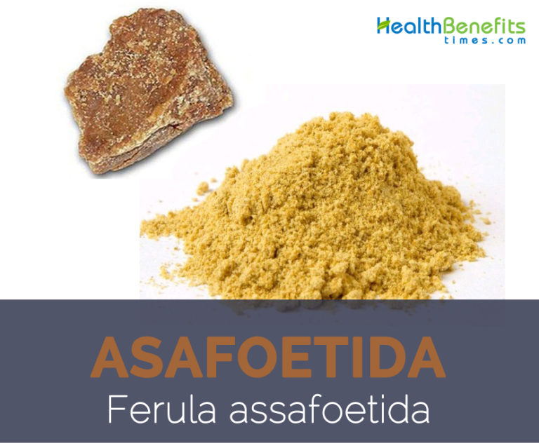Asafoetida facts and health benefits - Health Benefits