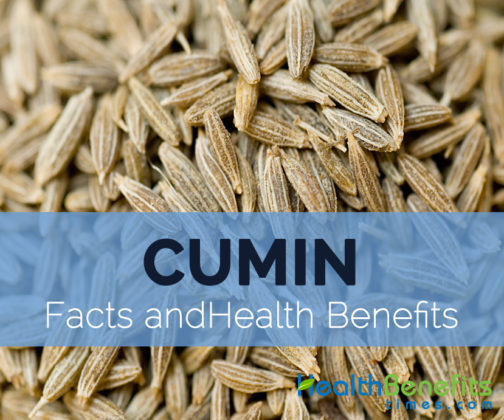 Cumin facts and health benefits - Health Benefits