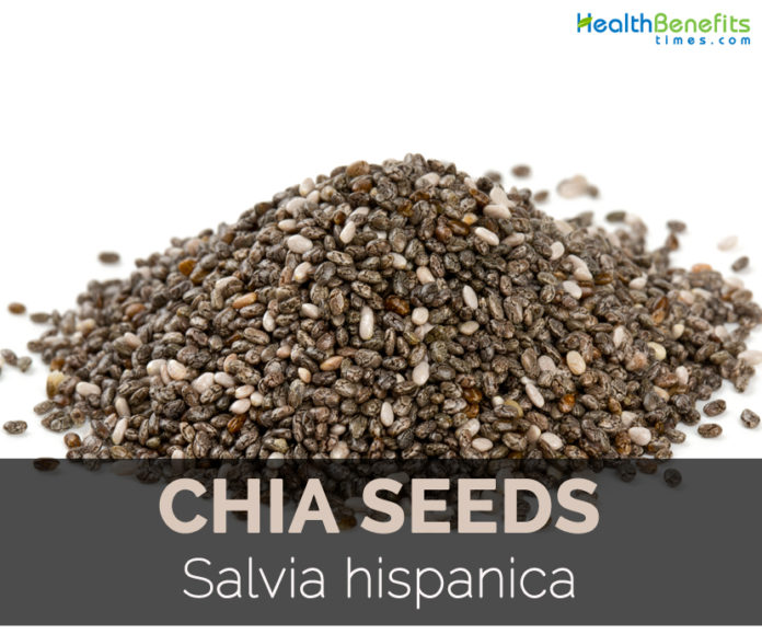 Chia seeds-Salvia hispanica - Health Benefits