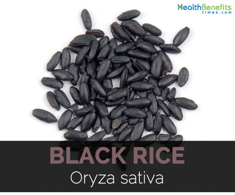 Health Benefits of Black Rice - Health Benefits
