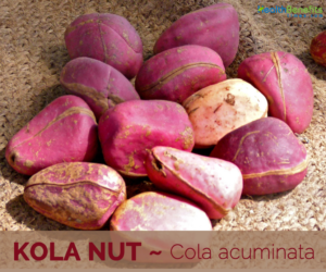 Health Benefits of Kola Nut - Health Benefits