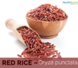 Top 10 health benefits of Red rice
