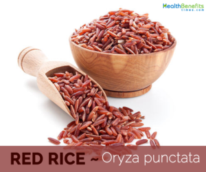 Health benefits of Red Rice - Health Benefits