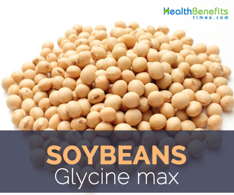Soybean facts and health benefits - Health Benefits