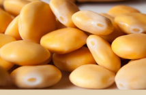 Lotus Facts, Health Benefits and Nutritional Value