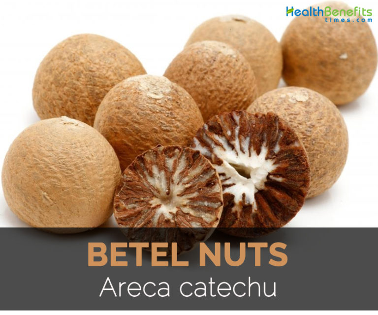Betel nuts facts and benefits - Health Benefits