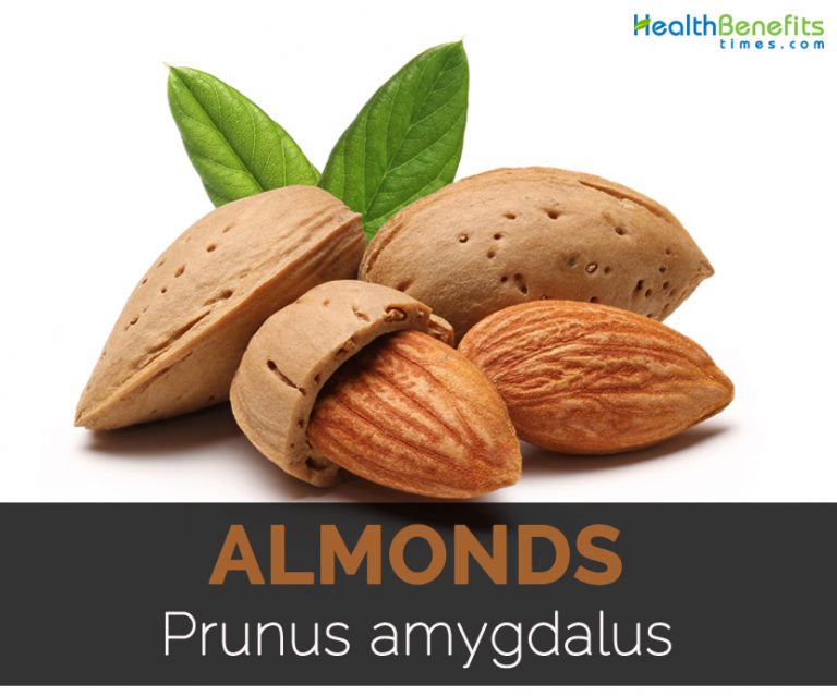 Health Benefits of Almonds - Health Benefits