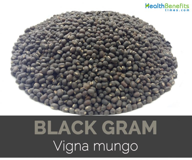 Health benefits of Black gram - Health Benefits