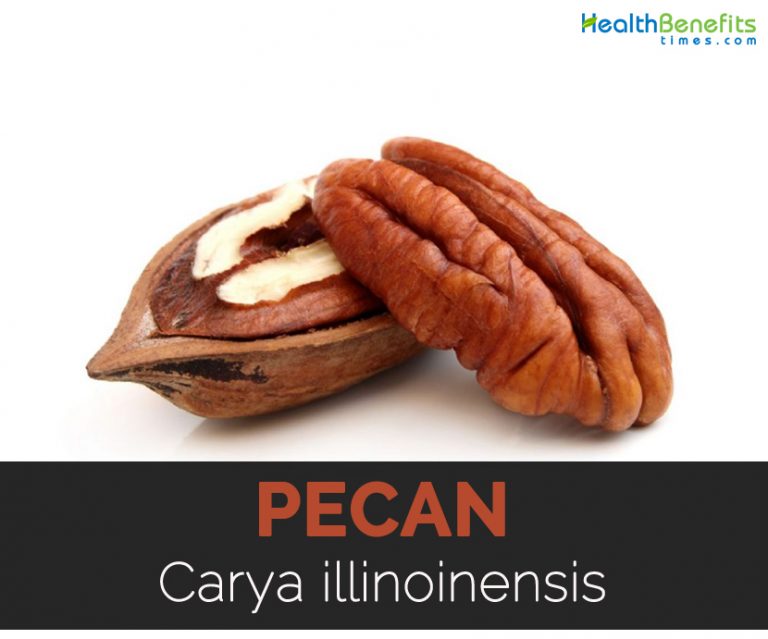 Health Benefits of Pecans - Health Benefits