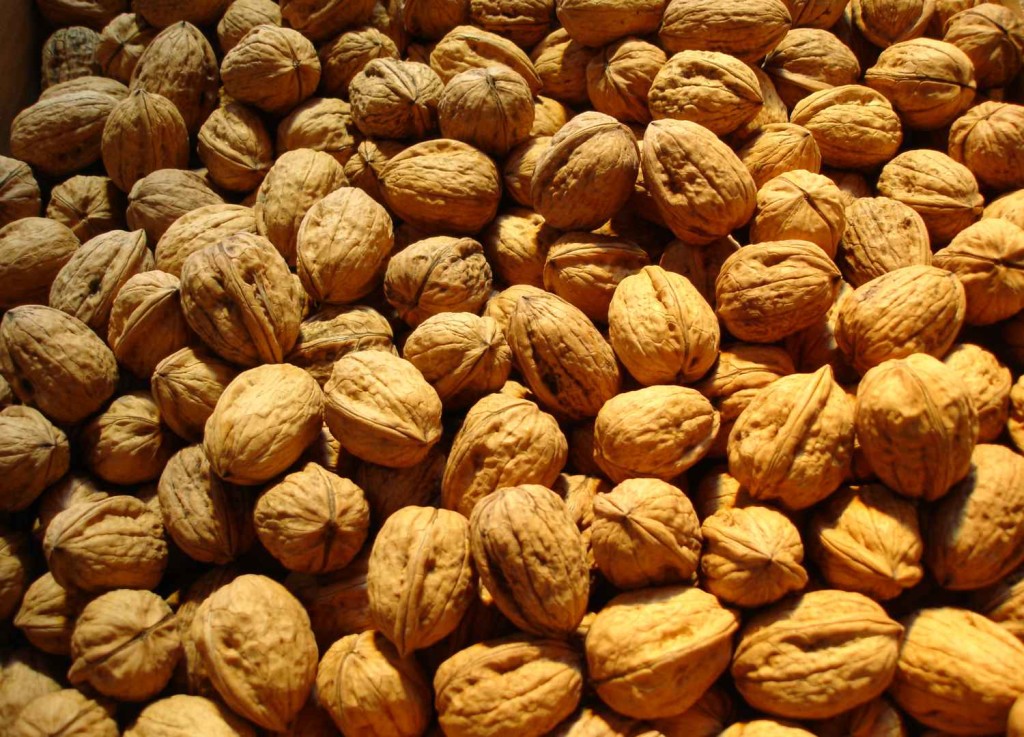 Marbot | Health Benefits