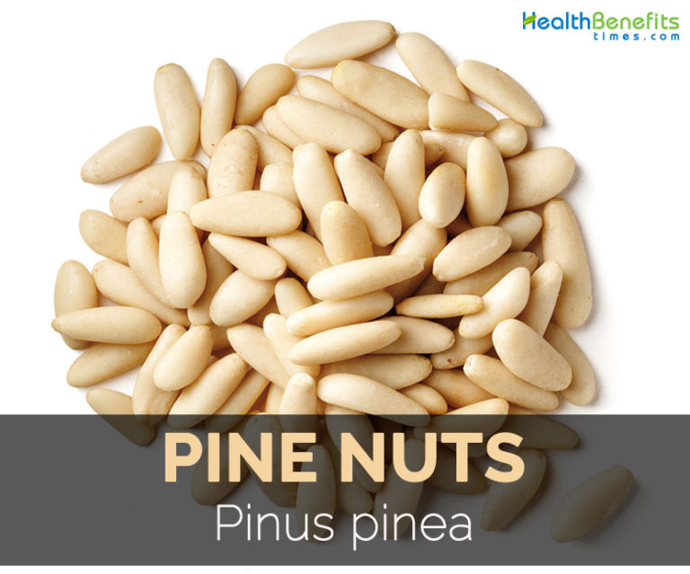Pine nuts-Pinus pinea - Health Benefits