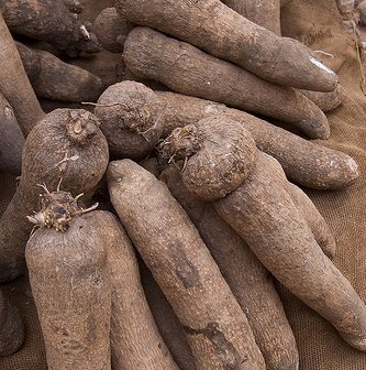 Health Benefits of Yam - Health Benefits