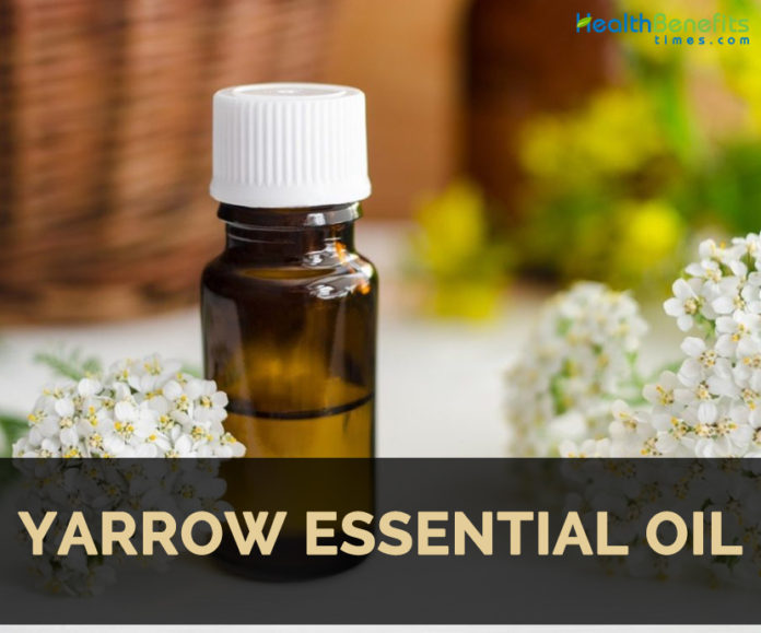 Yarrow essential oil - Health Benefits