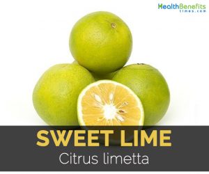 Health Benefits Of Mosambi (Sweet Lime) - Health Benefits