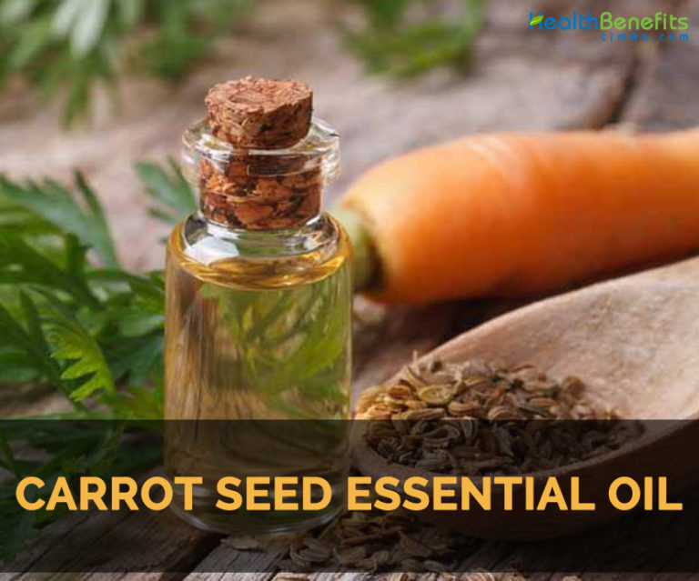 Health Benefits of Carrot Seed Essential Oil - Health Benefits