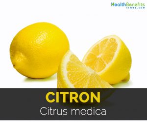 Health benefits of Citron - Health Benefits