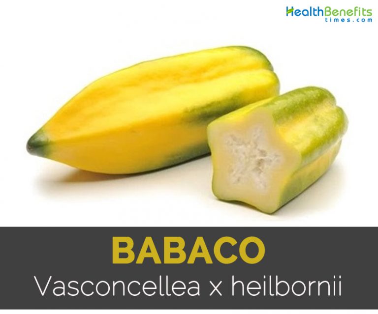 Health benefits of Babaco - Health Benefits