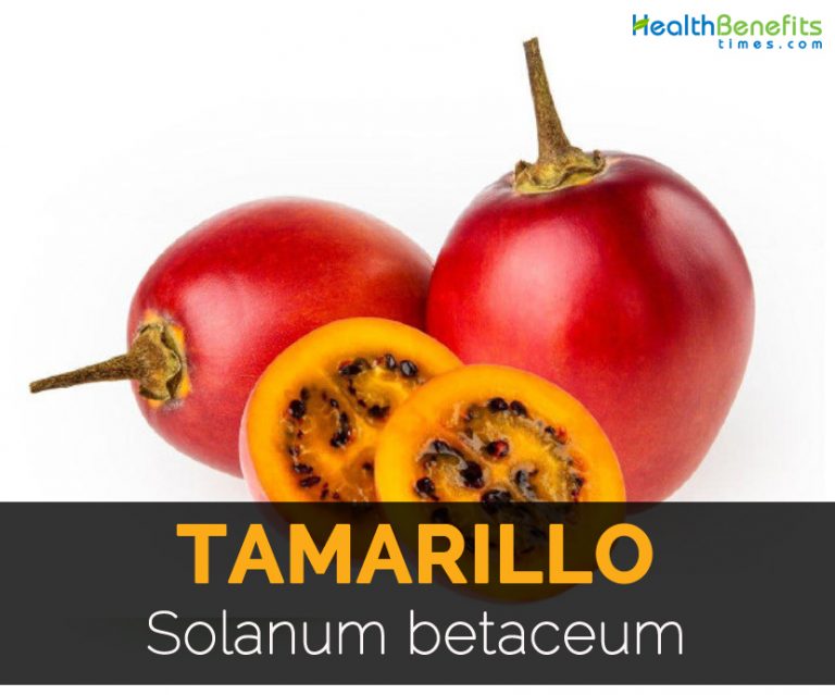 Facts and benefits of Tamarillo - Health Benefits