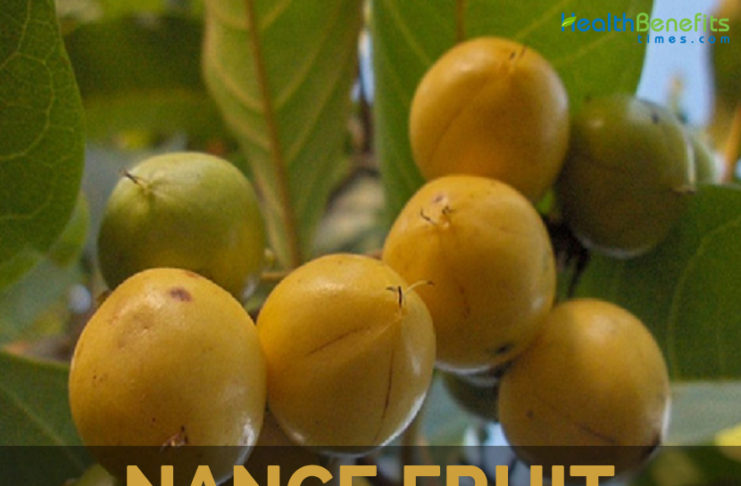 Health benefits of Neem| HB times