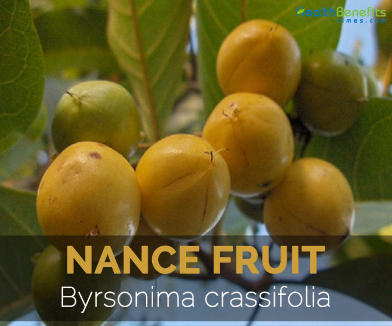 Nance fruit-Byrsonima crassifolia - Health Benefits