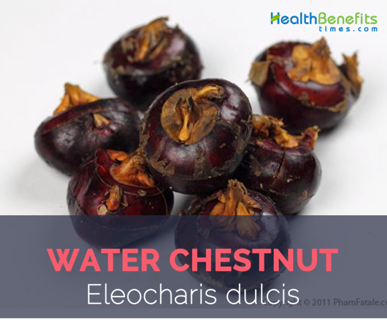 Water Chestnut facts and health benefits - Health Benefits