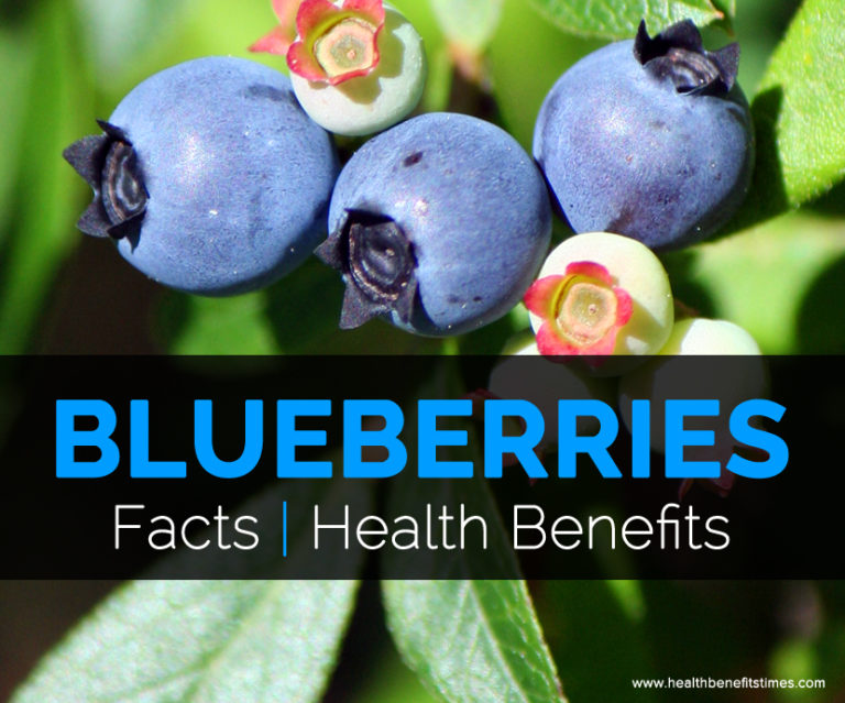 Blueberries Facts & Health Benefits - Health Benefits