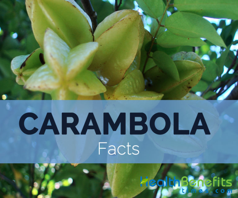 Carambola facts - Health Benefits