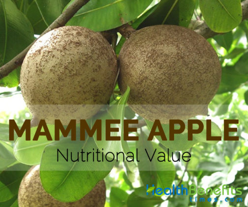 Mammee Apple Nutritional Value - Health Benefits