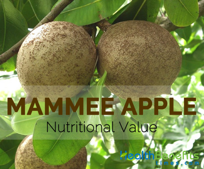 Mammee Apple Nutritional Value - Health Benefits