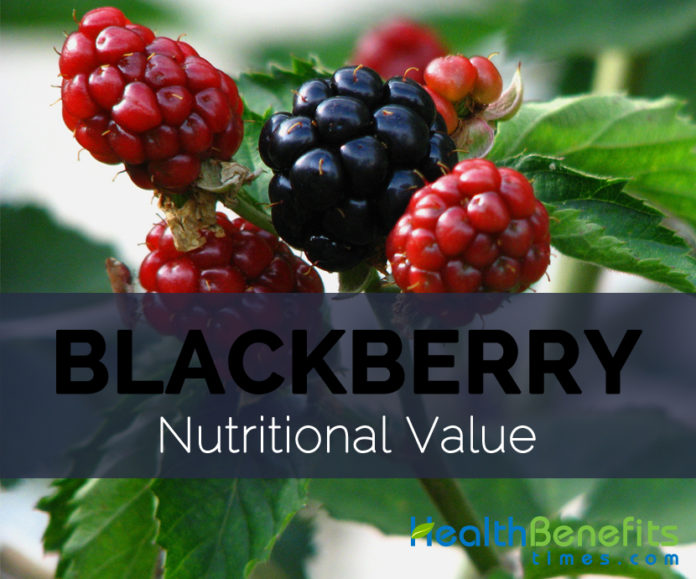 Blackberry Nutritional Value - Health Benefits