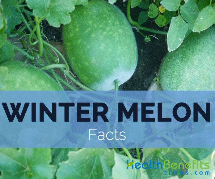 Winter melon facts - Health Benefits