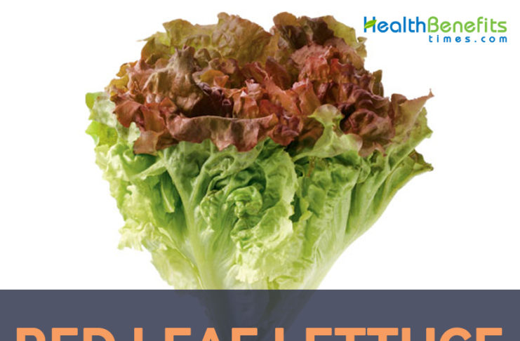 Top 10 health benefits of Red rice