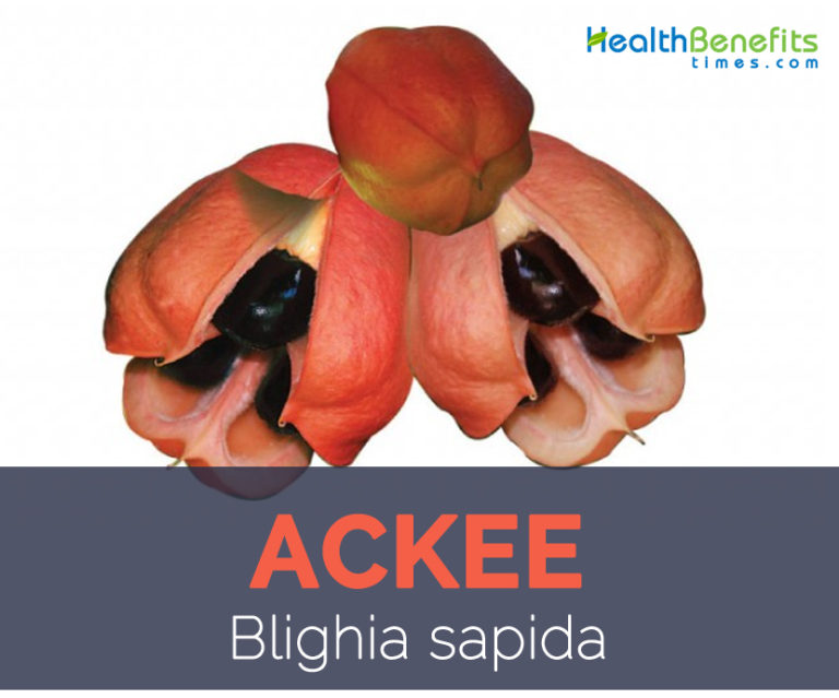 Ackee facts and health benefits - Health Benefits