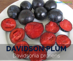 Davidson plum - Davidsonia pruriens - Health Benefits