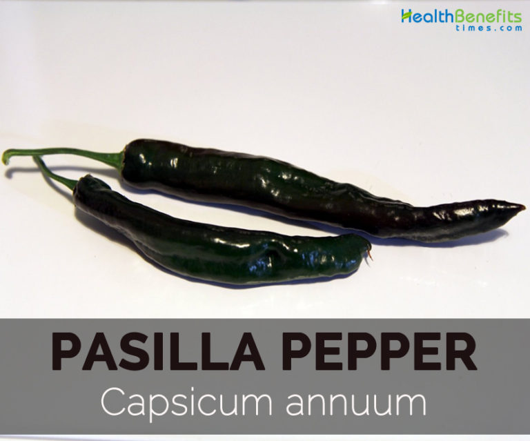 Pasilla pepper - Capsicum annuum - Health Benefits