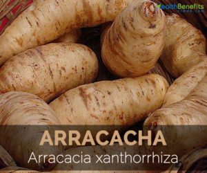 Arracacha Facts, Health Benefits and Nutritional Value