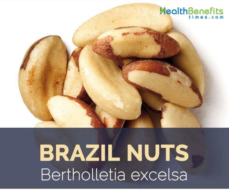 Brazil nuts facts and health benefits - Health Benefits