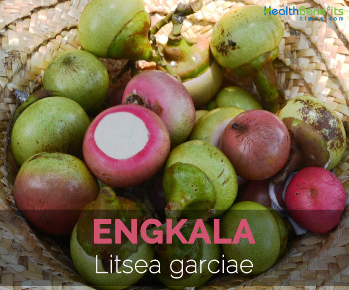 Engkala-Litsea garciae - Health Benefits