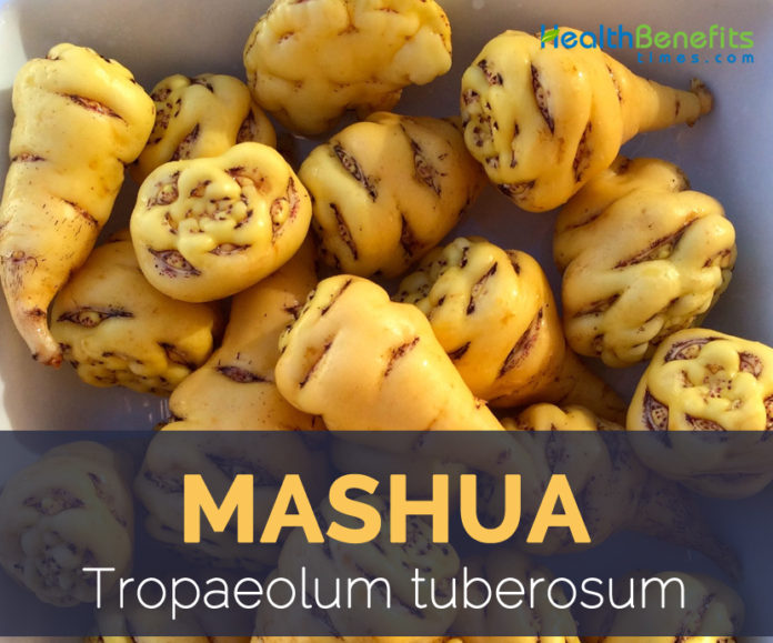Mashua facts and health benefits - Health Benefits