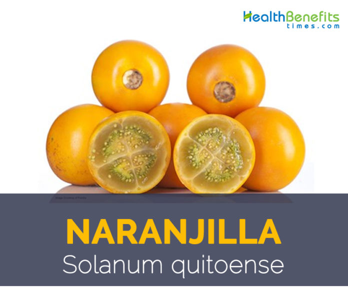 Naranjilla facts and health benefits - Health Benefits