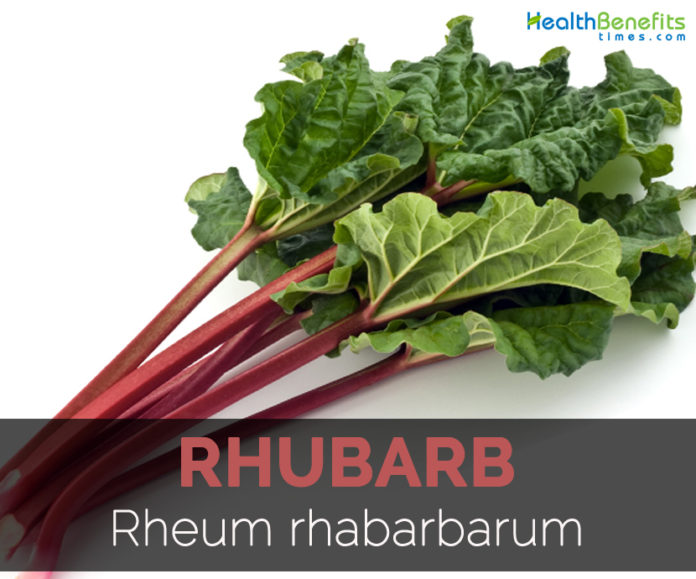 Top 11 benefits of Rhubarb (Garden rhubarb) - Health Benefits