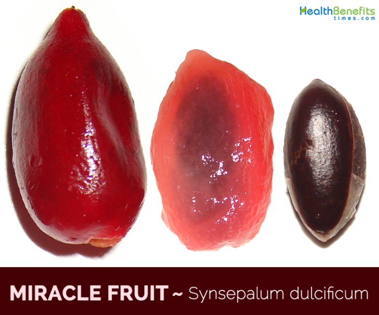 Miracle fruit facts and health benefits - Health Benefits