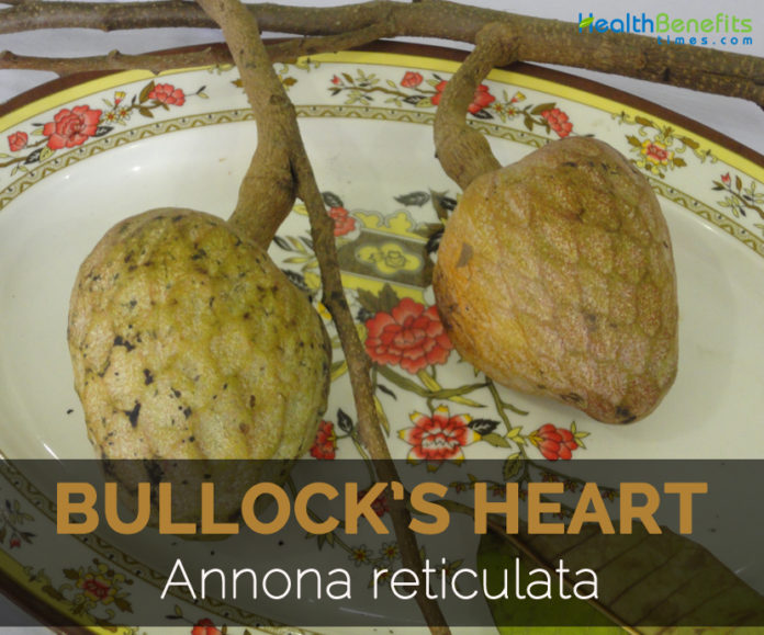 bullock-heart | Health Benefits