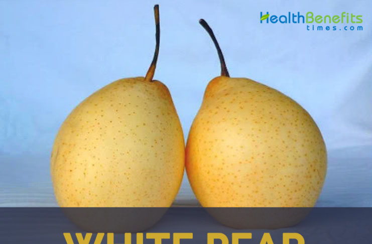 Winged beans facts and health benefits