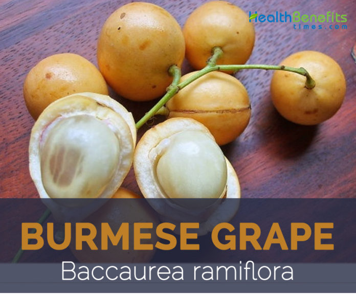Burmese Grape facts and health benefits - Health Benefits