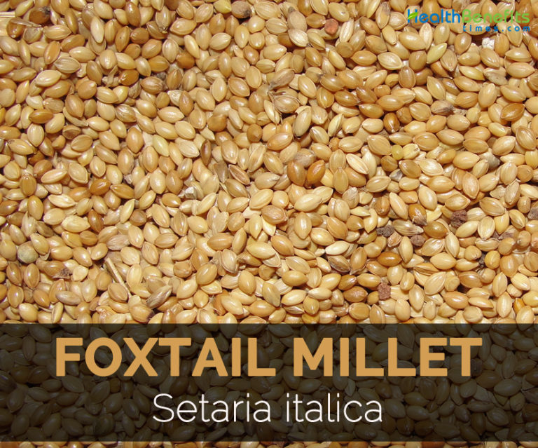 Foxtail millet-Setaria italica - Health Benefits
