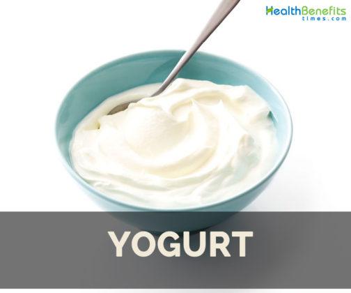 Yogurt - Health Benefits