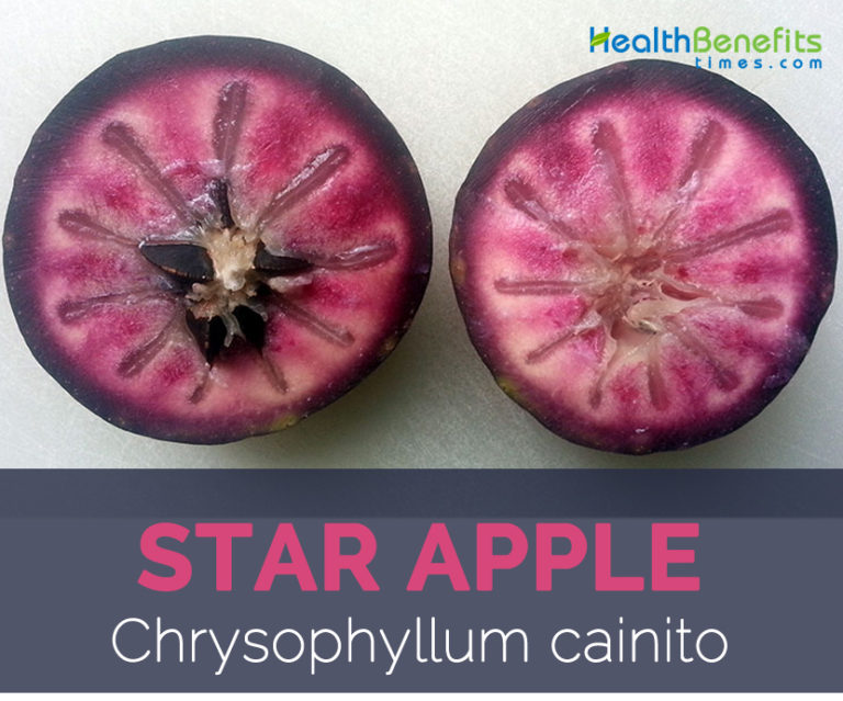 Star Apple facts and health benefits - Health Benefits