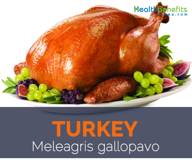 Turkey facts and health benefits - Health Benefits