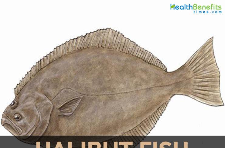 Honeybush Tea benefits